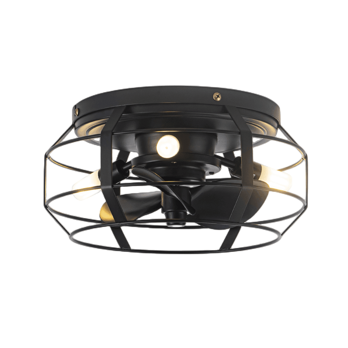 12" Flush Mount Low Profile Caged Small Ceiling Fan with Light and Rem ...