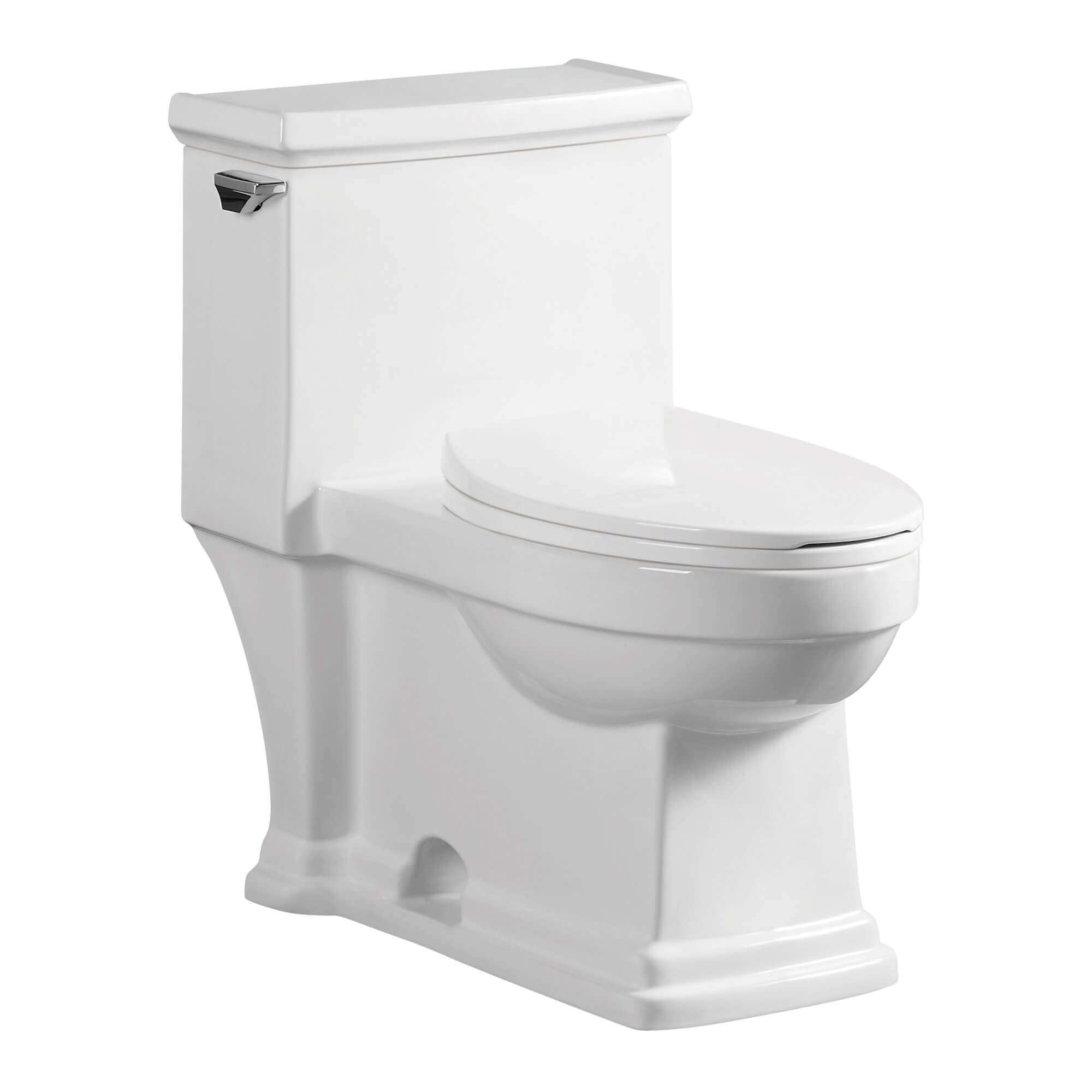 Fine Fixtures MOTB14W | ADA Compliant High Efficiency Toilet – GS ...